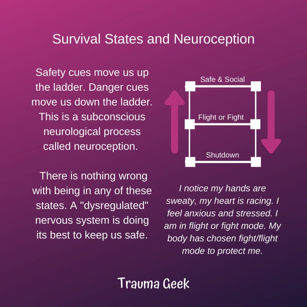 Polyvagal Theory - Stimpunks Foundation