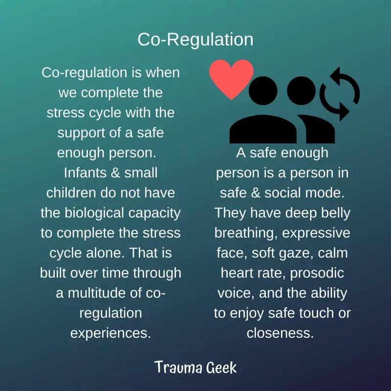Co-regulation - Stimpunks Foundation